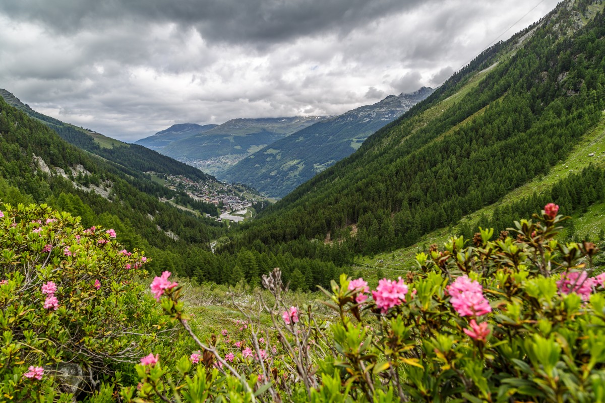 Grimentz - Wandern im Val d'Anniviers - Lac de Moiry