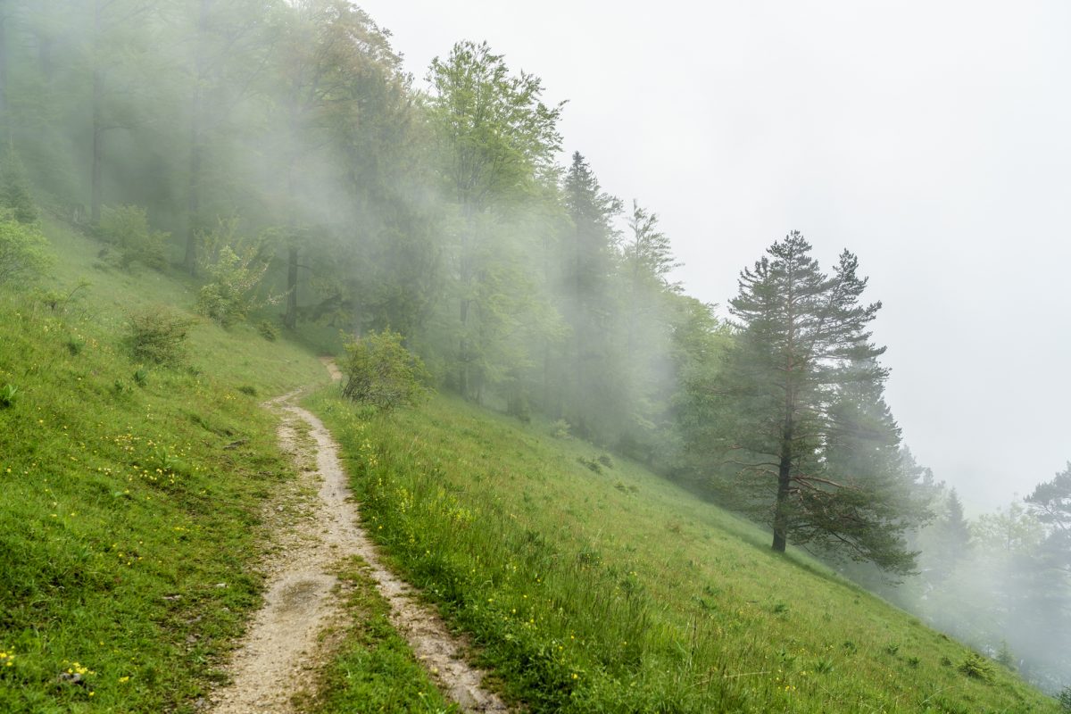 Weissenstein-Balsthal: Wanderung im Naturpark Thal