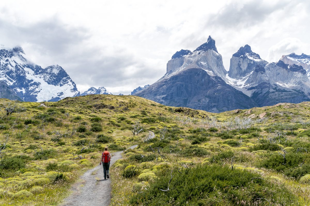 Torres del Paine - 4 Tage wandern im Nationalpark