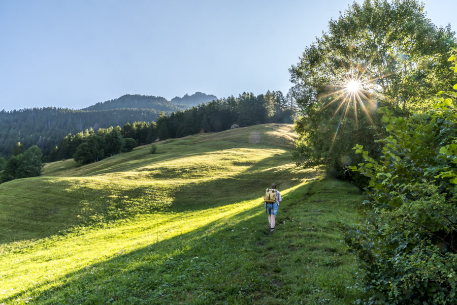 Calancatal: Rundwanderung Braggio - Osteria Landarenca - Arvigo