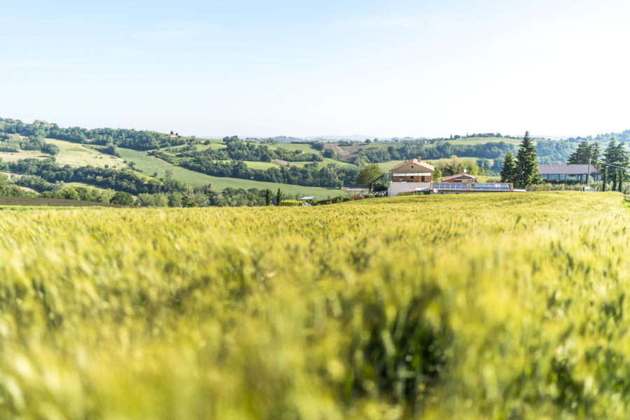 Italien Geheimtipp: 10 schöne Orte & Sehenswürdigkeiten in den Marken