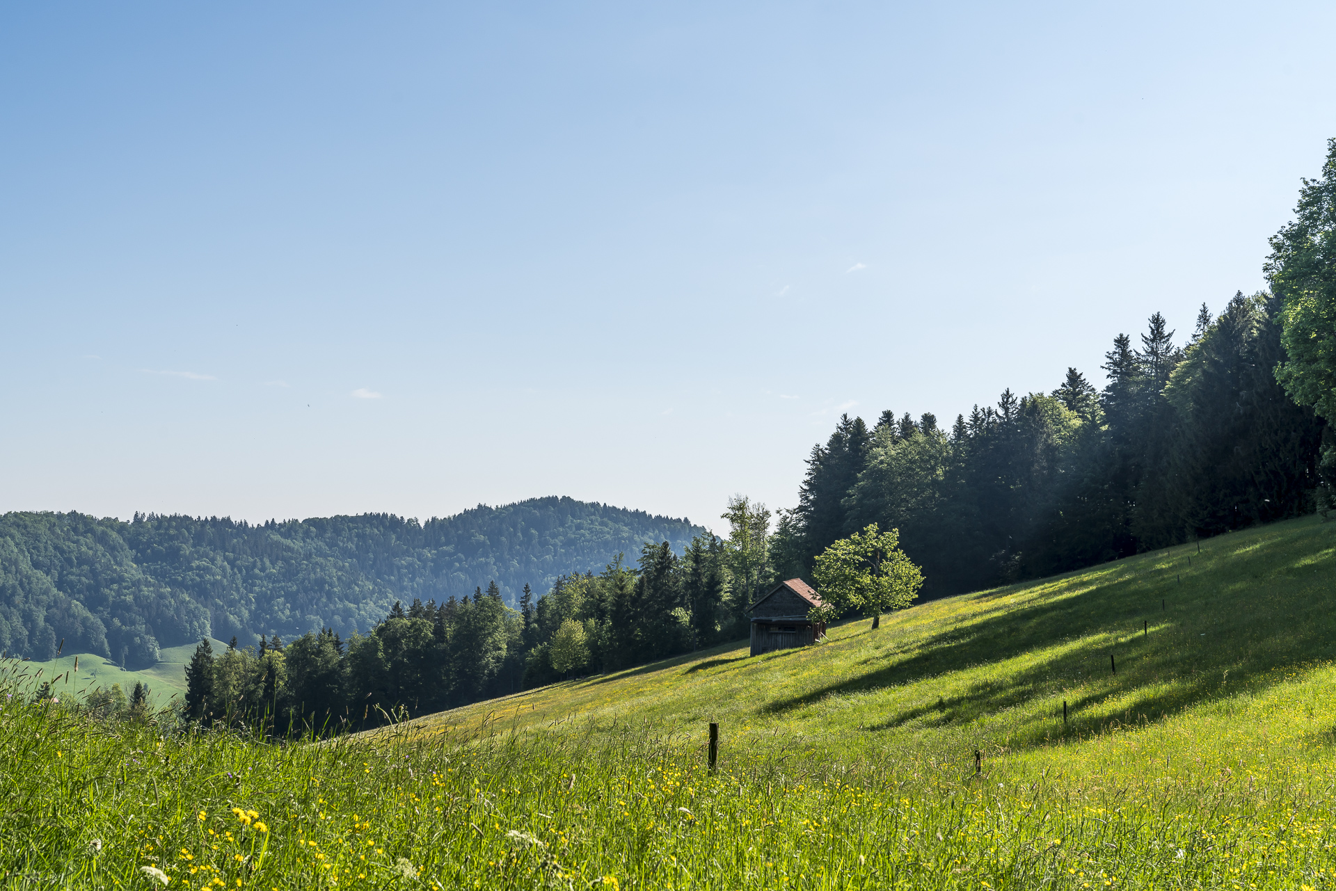 Wandern auf dem Neckertaler Höhenweg ins Gasthaus Rössli Mogelsberg