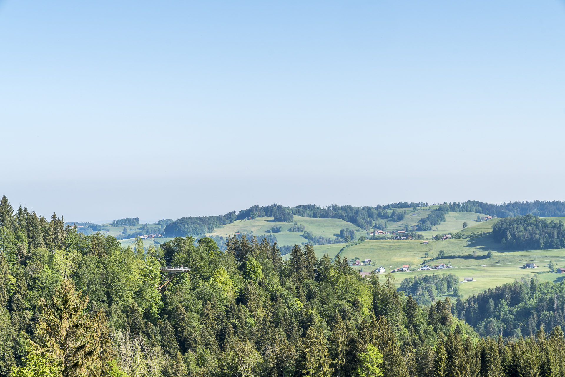 Wandern auf dem Neckertaler Höhenweg ins Gasthaus Rössli Mogelsberg