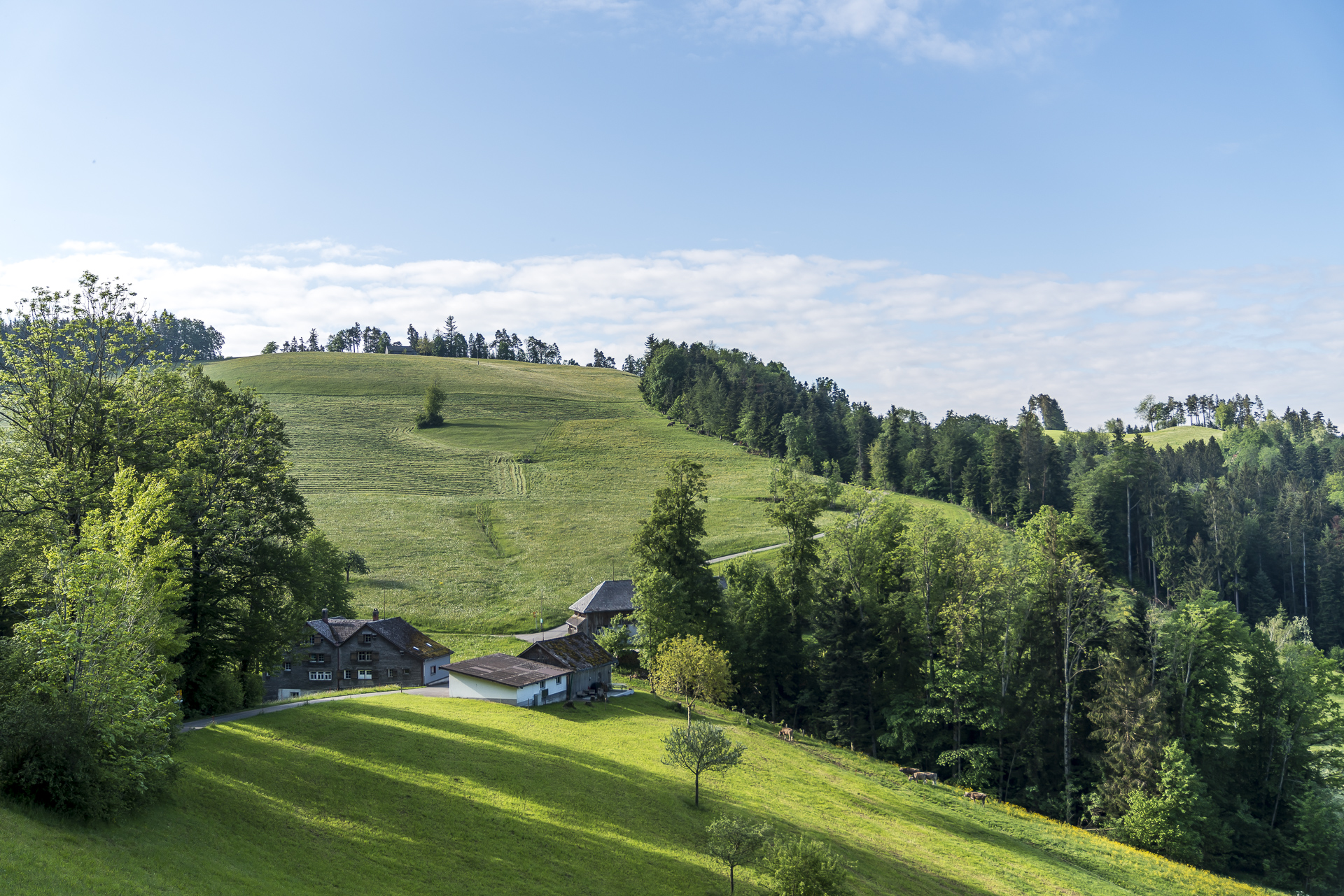 Wandern auf dem Neckertaler Höhenweg ins Gasthaus Rössli Mogelsberg