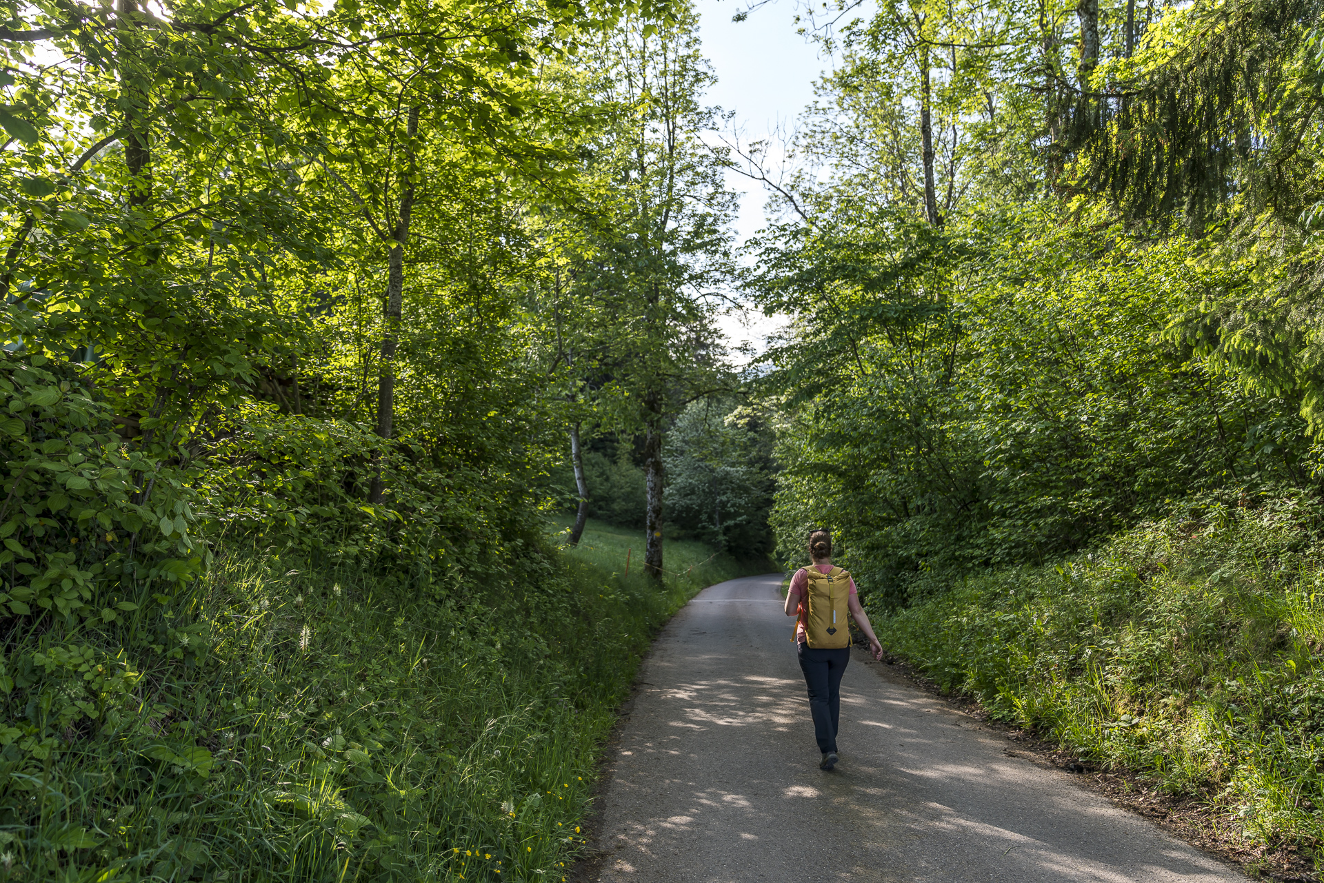 Wandern auf dem Neckertaler Höhenweg ins Gasthaus Rössli Mogelsberg