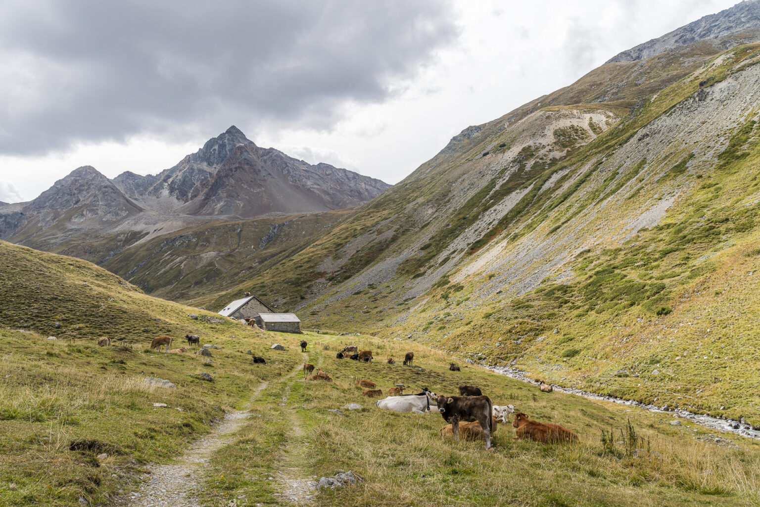 Muottas Muragl & Via Albula: Herbstwanderungen im Engadin Muottas Muragl & Via Albula: Herbstwanderungen im Engadin