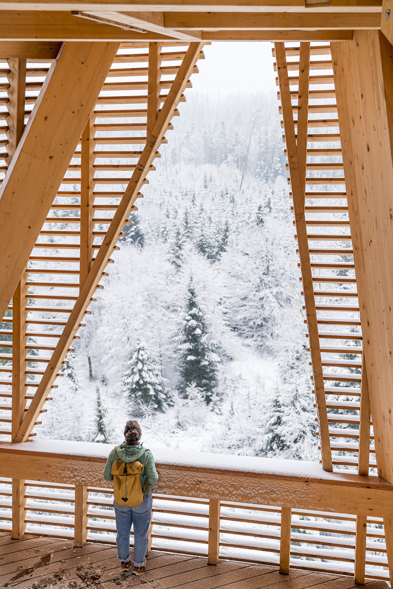 Hardwaldturm: Wanderung zum Aussichtsturm Hardwald